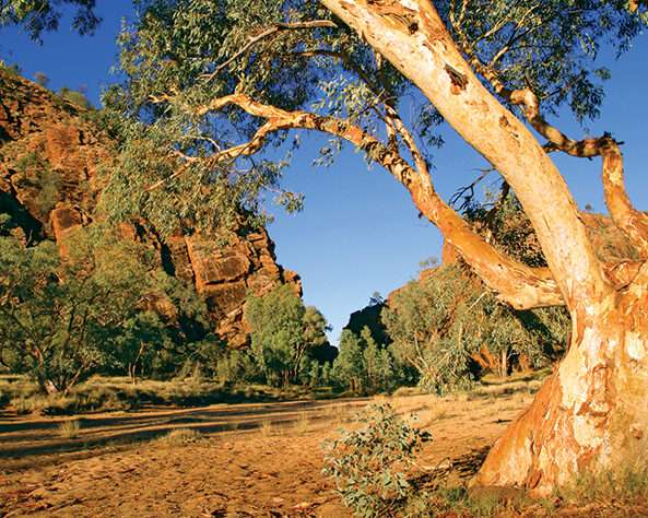 Macdonnell Ranges – Australian Tourist Publications